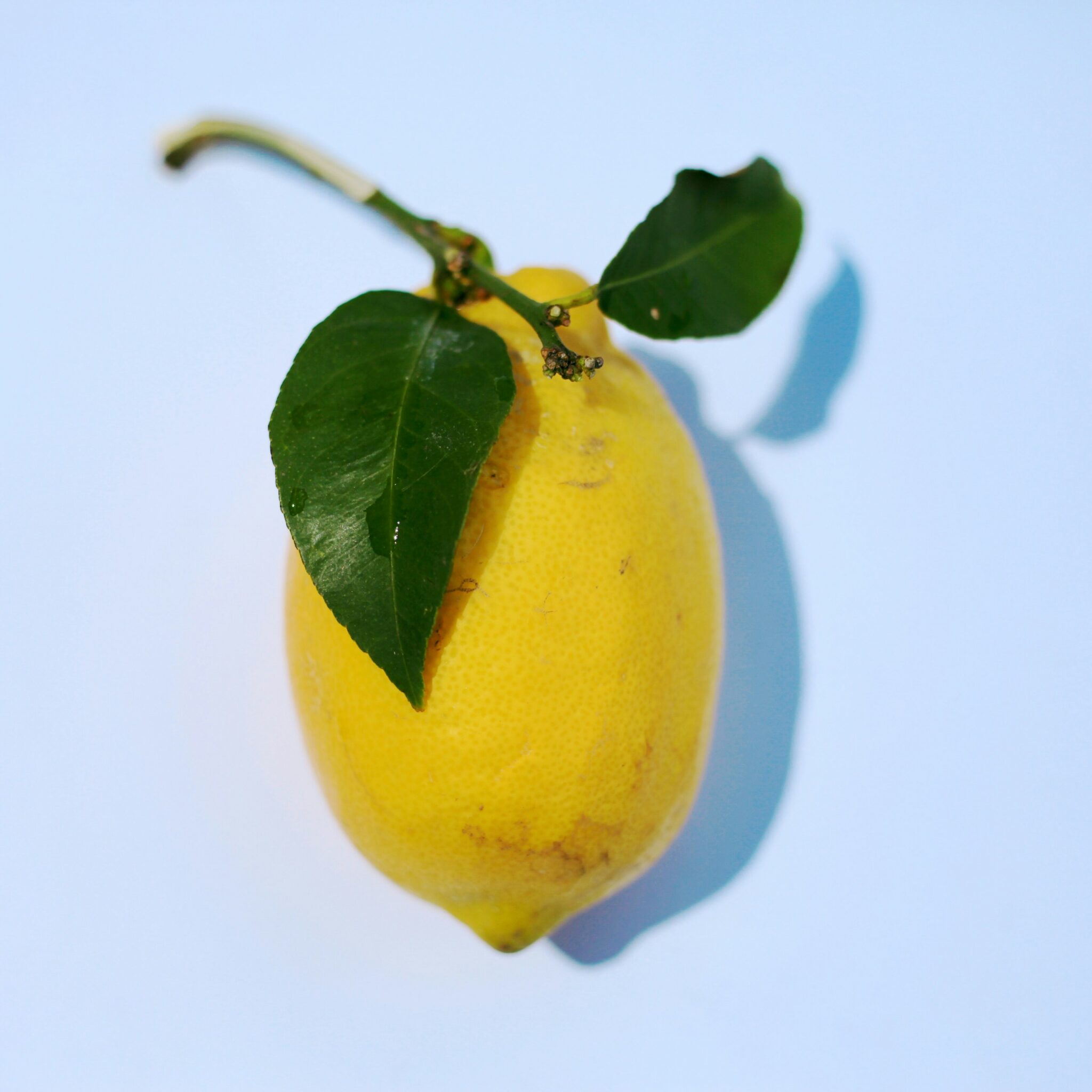 Maryland Lemon Law FAQs: Key Consumer Protections - Consumer Attorneys